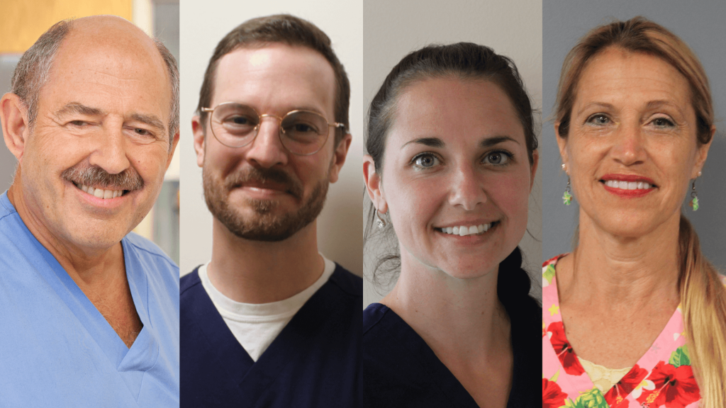 4 NCH nurses receive Nursing Excellence Awards - Newport Dispatch