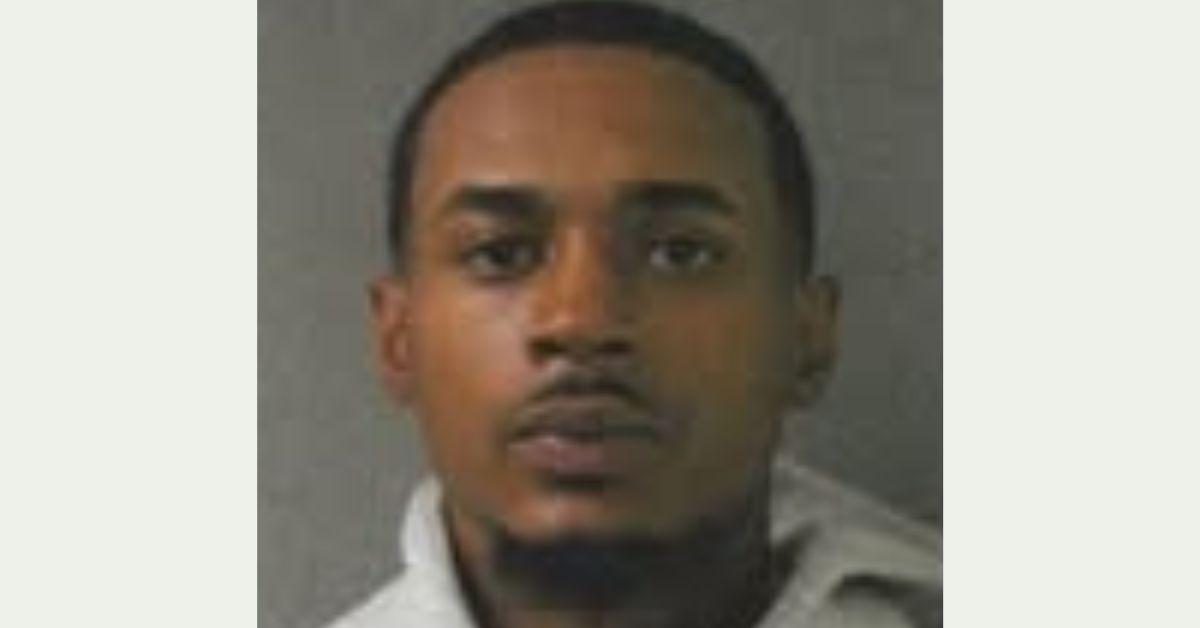 Man arrested on animal cruelty, weapons charges in Kingston - Newport ...