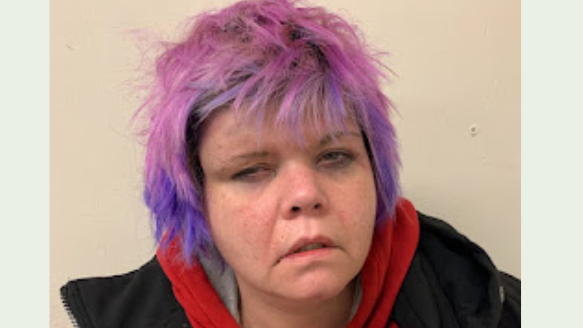 Fugitive arrested after police pursuit in Barnet - Newport Dispatch