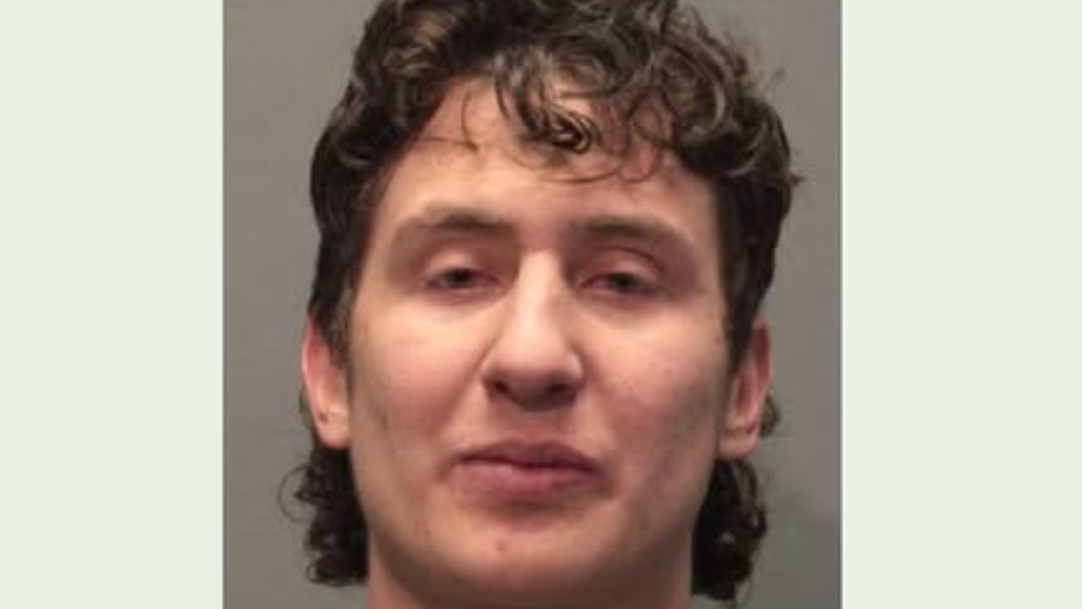 Man arrested after threats to shoot up pub in Milford - Newport Dispatch