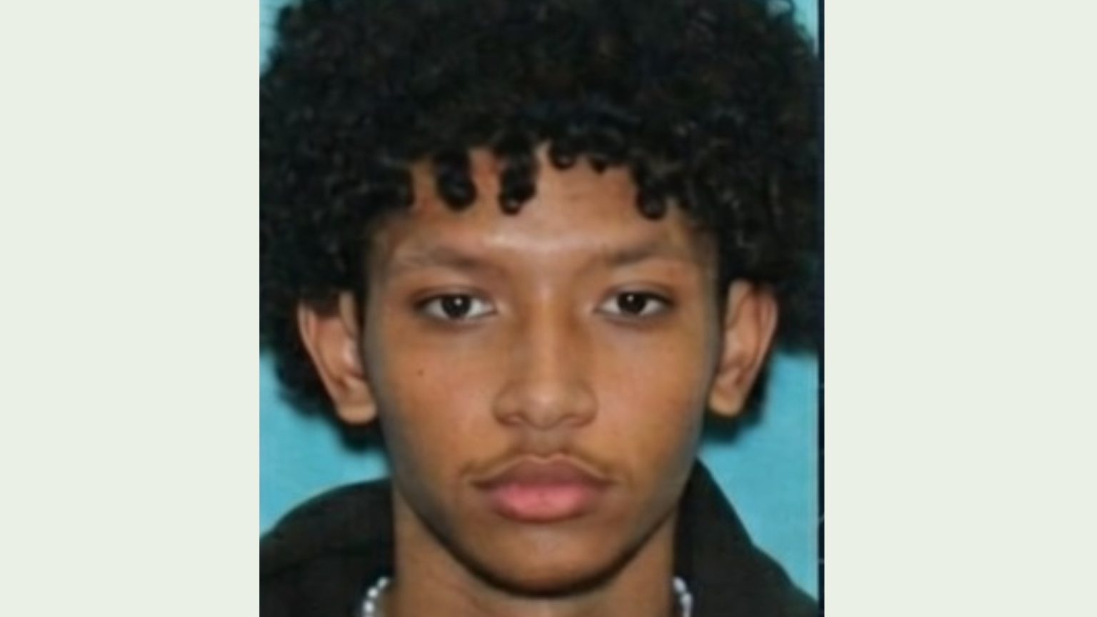 Arrest warrant issued in Coplay - Newport Dispatch