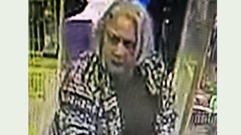 Police seek woman in Dollar General theft in West Long Branch - Newport ...