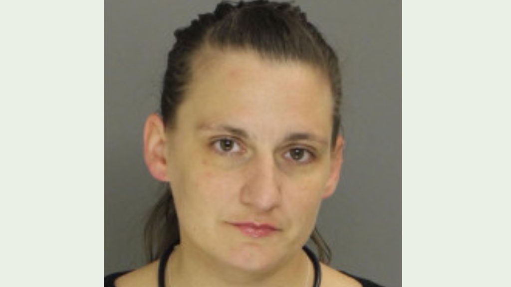 Woman charged with retail theft in Palmyra - Newport Dispatch