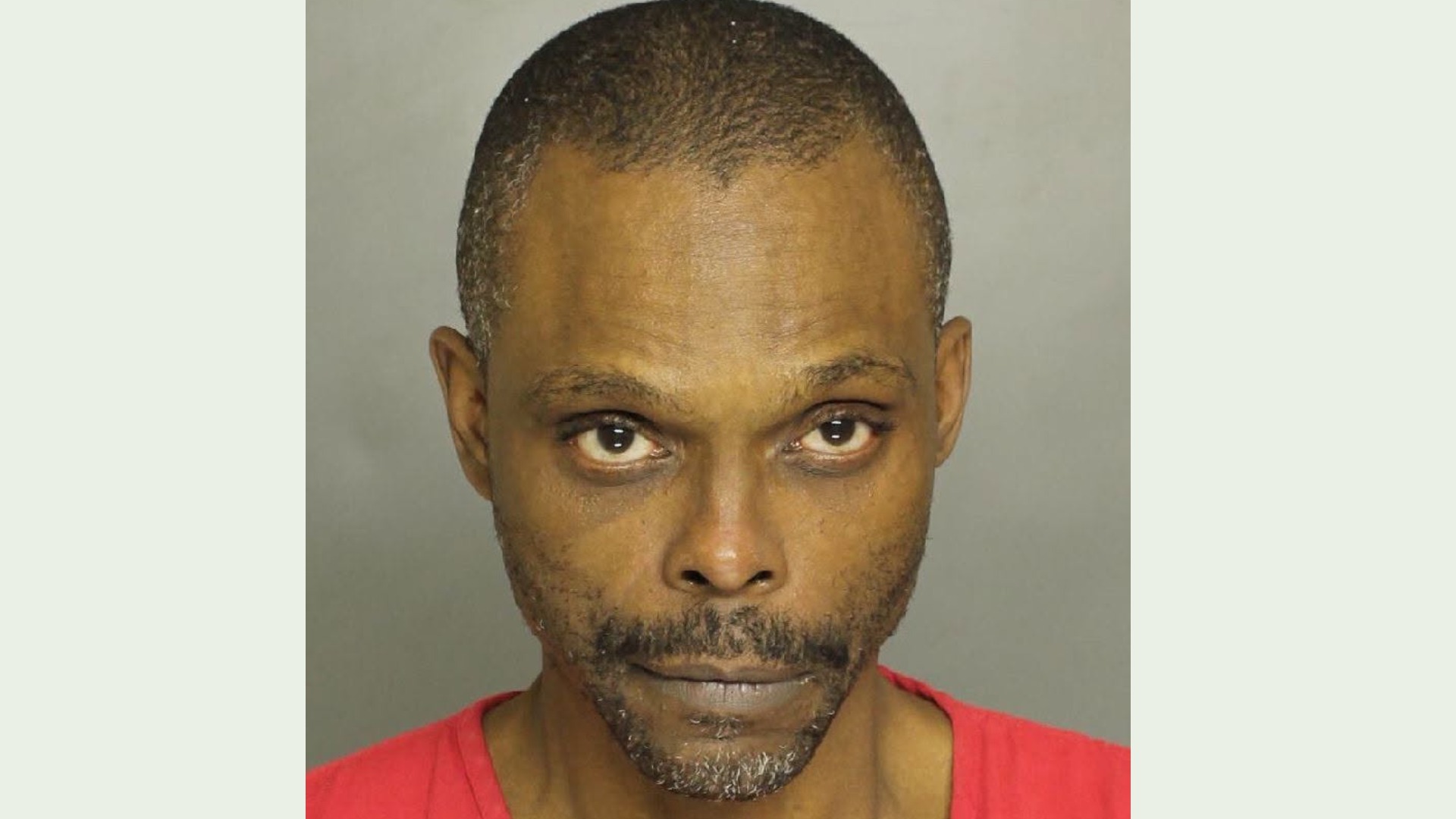 Suspect identified in retail thefts in Verona - Newport Dispatch