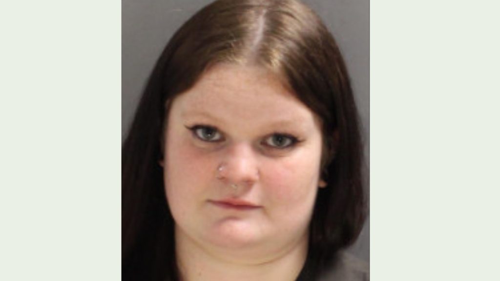 Woman charged with retail theft in West Manchester Township - Newport ...