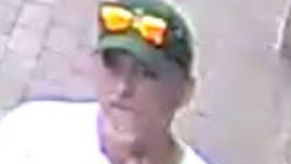 Police seek help identifying suspect in larceny in Roxbury - Newport ...
